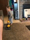 Casdon Toys DC24 Dyson Ball Toy Vacuum : Target