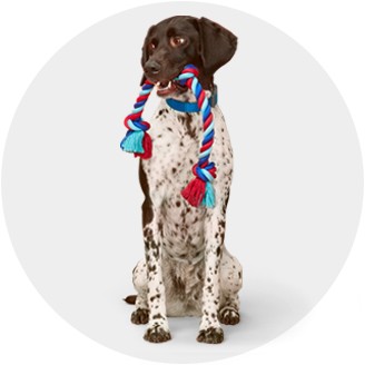 Dog Toys : Target