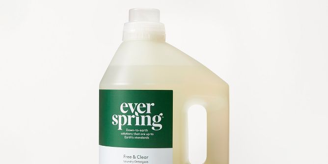 Everspring products at Target