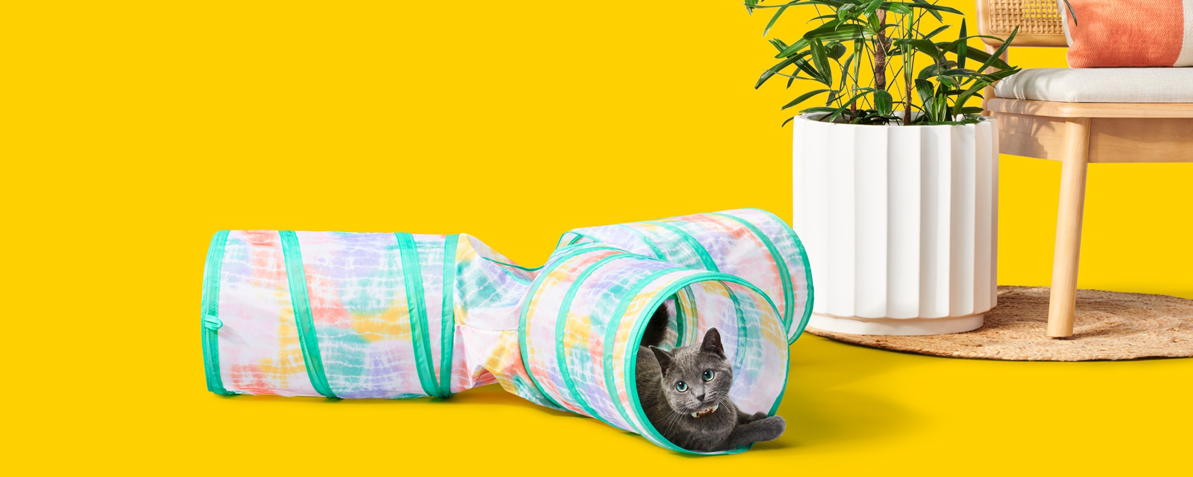 Gifts for Pets : Target