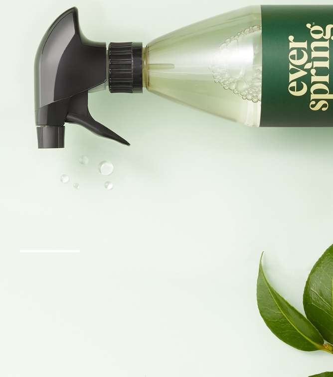 Everspring products at Target