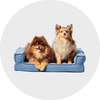 Dog Supplies : Target