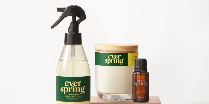 Everspring products at Target