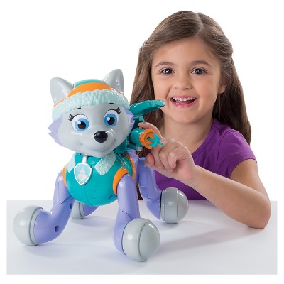Paw Patrol : Target