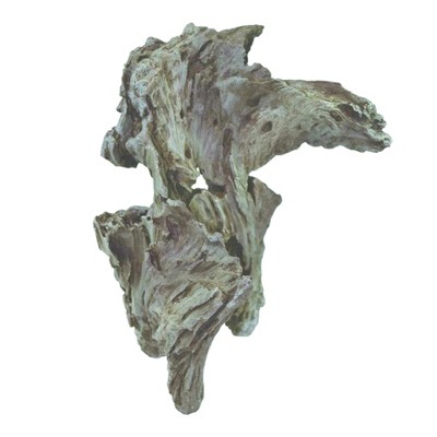 Fish Supplies, Pets : Target