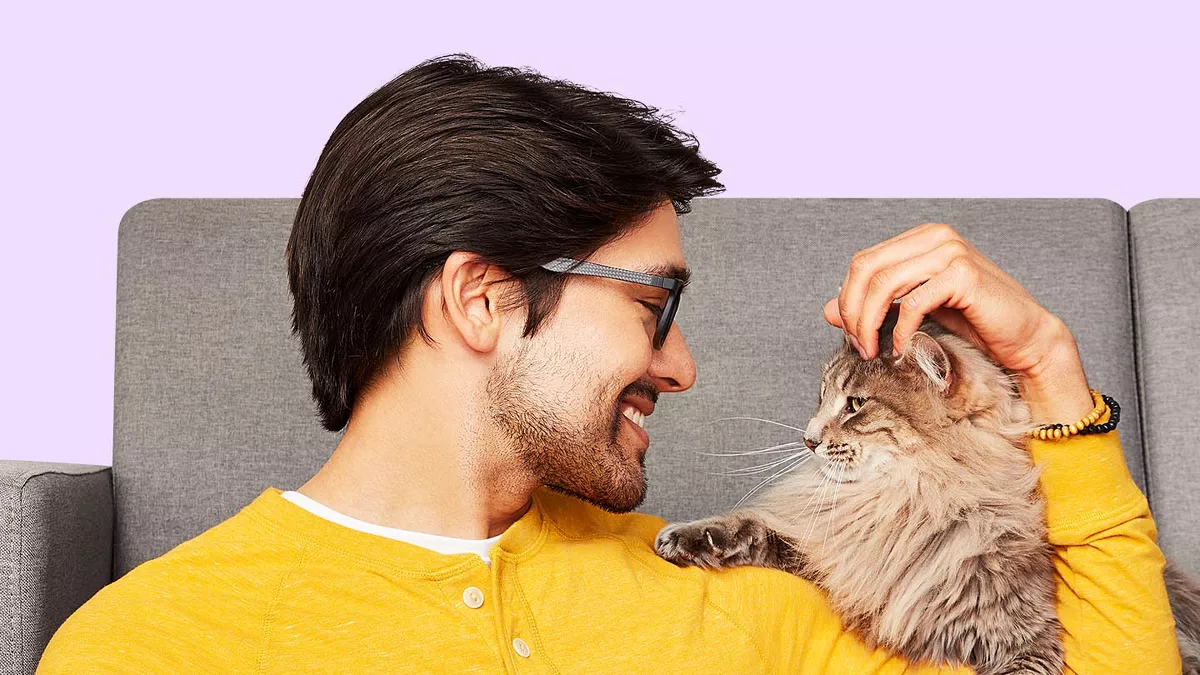 Top Pet Gifts at Target : Toys, Treats & More