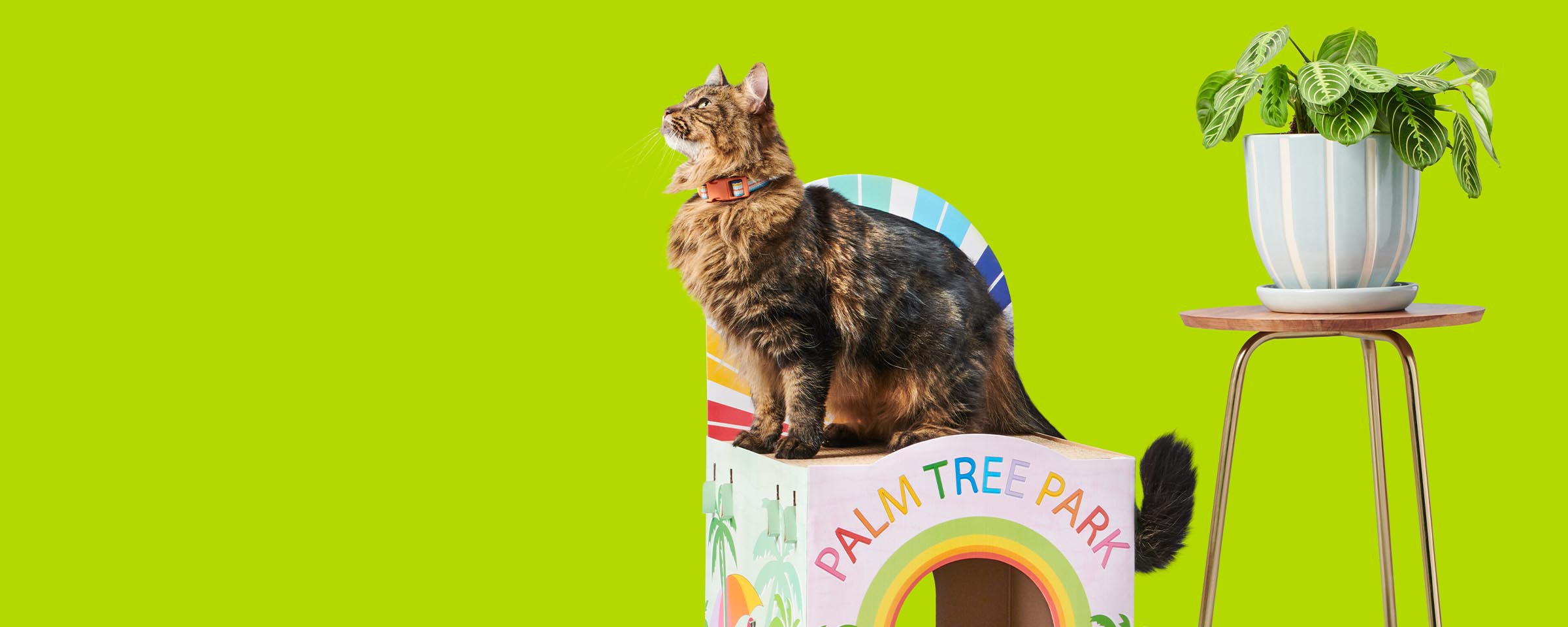 Cat Scratchers, Trees & Towers : Target