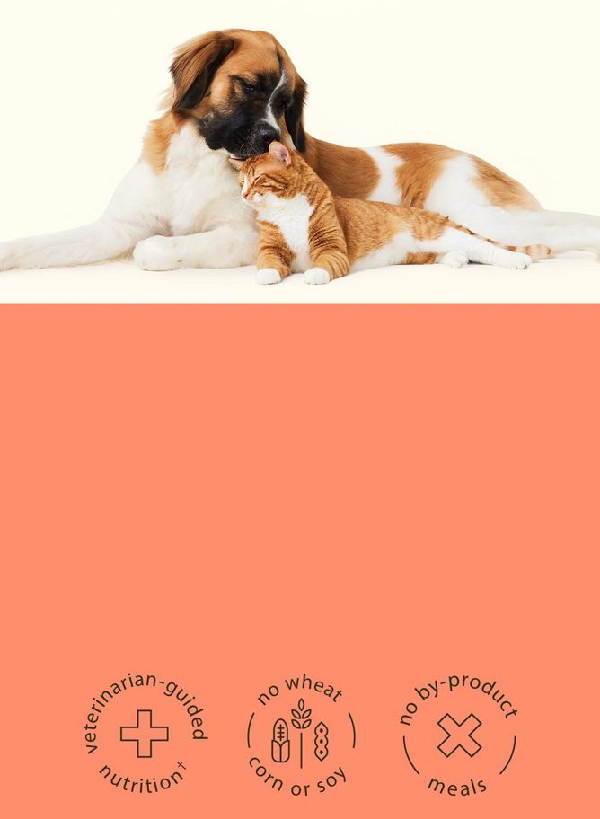 Kindfull products at Target