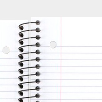 Notebooks & Journals : Target