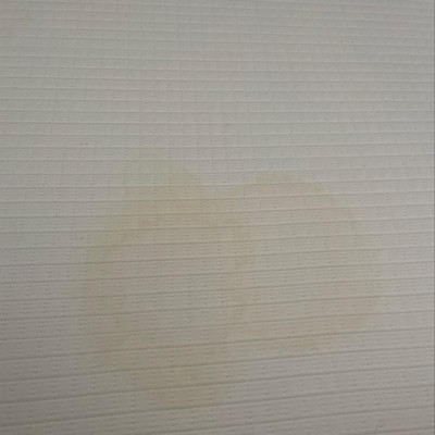 King Maximum Bed Bug And Allergy Mattress Protector White - Allerease : Target