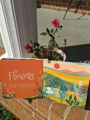 The Kingdom Of Heaven - (baby Believer) By Danielle Hitchen (board Book ...