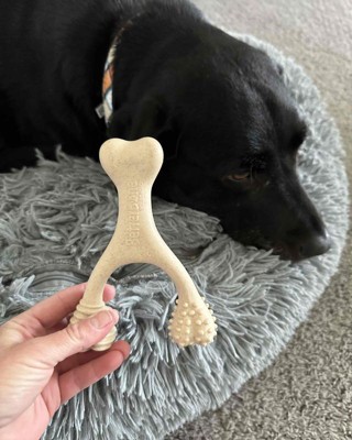 Betterbone Hard Classic Nylon Free Dog Bone Chew Toy - S : Target