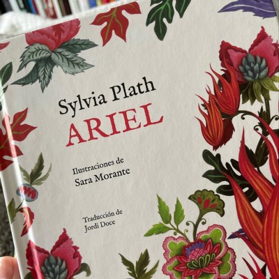 Ariel - By Sylvia Plath (paperback) : Target