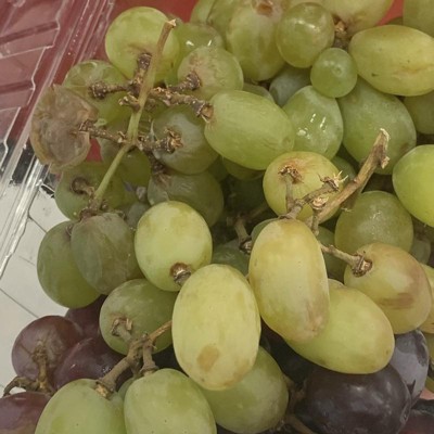 Extra Large Bi-color Seedless Grapes - 2lb : Target
