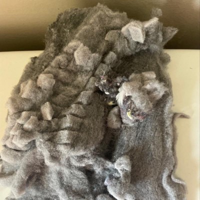 Total Fresh Antimicrobial Oversized Bath Towel Olive Green - Threshold ...