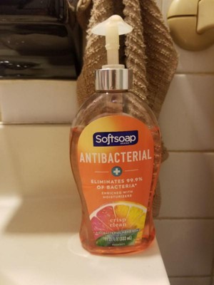 Softsoap Antibacterial Liquid Hand Soap Pump - Fresh Citrus - 11.25 Fl ...