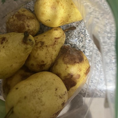 Kid-sized Bartlett Pears - 3lb Bag - Good & Gather™ : Target