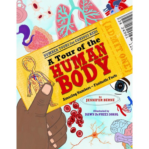 A Tour Of The Human Body - (number Tours For Curious Kids) By Jennifer ...