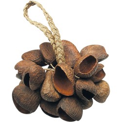 Toca Tsps Seed Pod Shaker : Target