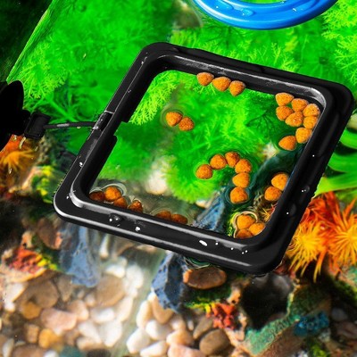 Fish Food Feeding Ring Aquarium Fish Tank Fish Feeder Suitable For ...