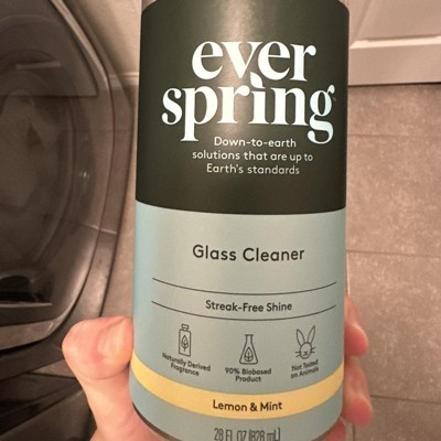 Lemon & Mint Glass Cleaner - 28 Fl Oz - Everspring™ : Target