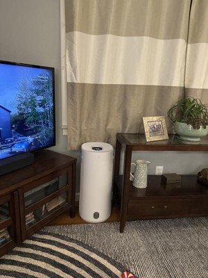 Blueair 2-in-1 Air Purifier And Humidifier : Target