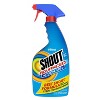 Shout Advanced Action Gel Laundry Stain Remover Spray - 22 Fl Oz : Target