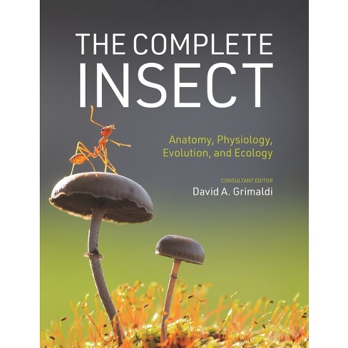 The Complete Insect - By David A Grimaldi (hardcover) : Target