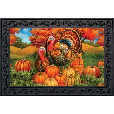 Fall Thanksgiving Doormat Standard : Target