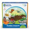 Learning Resources Jumbo Insects, Fly, Ant, Bee, Ladybug, Grasshopper ...