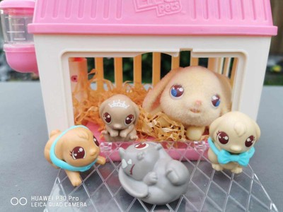 Little Live Pets Mama Surprise Minis - Lil' Bunny : Target