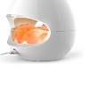 Crystal Himalayan Salt Rock Lamp And Ultrasonic Oil Diffuser - Pure ...