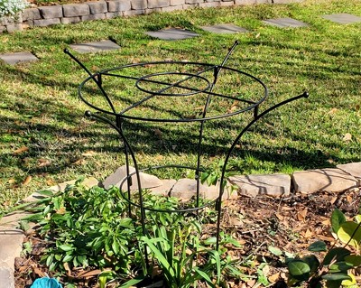 Gardener's Supply Company Essex Plant Support | Sturdy Metal Plants ...