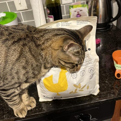 Chicken And Brown Rice Kitten Dry Cat Food - 3lbs - Kindfull™ : Target