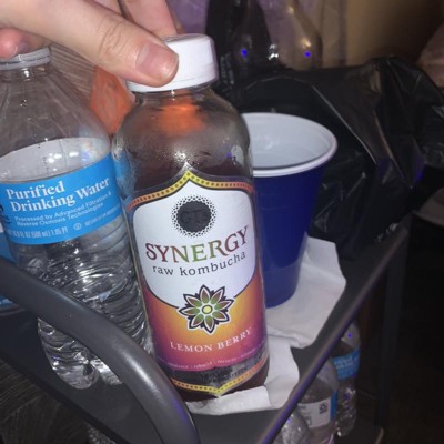 Gt's Synergy Lemon Berry Organic Raw Kombucha - 16 Fl Oz : Target