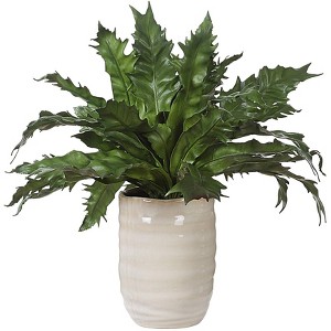 Uttermost Verdure 21" Wide x 15 1/2" High Fern : Target