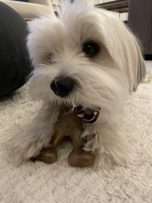 Benebone Wishbone Dog Chew Toy - Bacon - S : Target
