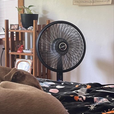 Lasko 18" Stand Oscillating Fan Black : Target