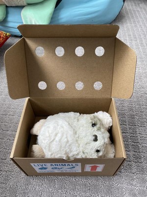 Purrble Calming Toy Companion - Interactive Plush : Target