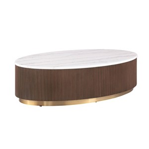 Furniture of America Keith Modern Oval Marble Top Coffee Table with ...