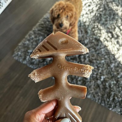 Benebone Fishbone Dog Chew Toy - Fish - M : Target