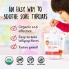 Lolleez Children's Organic Throat Soothing Pops - Watermelon ...