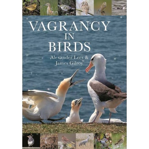 Vagrancy In Birds - By Alexander Lees & James Gilroy (hardcover) : Target
