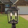 C Cattleya 2-light Matte Black Metal Outdoor Post Light With Clear ...