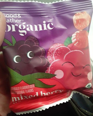 Organic Mixed Berry Fruit Snacks - 20ct - Good & Gather™ : Target