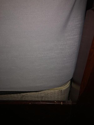 Perfect Protection Cool Touch Mattress Protector - Allerease : Target