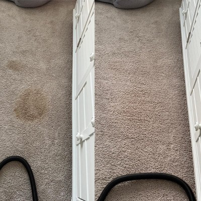 Bissell Little Green Max Pet Portable Carpet Cleaner : Target
