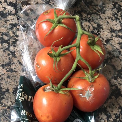 Organic On-the-vine Tomatoes - 1lb - Good & Gather™ : Target