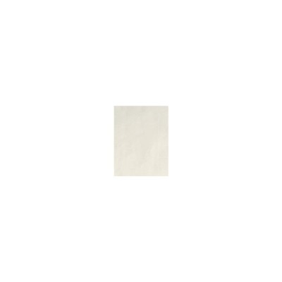 Lux 80 Lb. Cardstock Paper 11" X 17" Natural 250 Sheets/pack (1117-c-n ...
