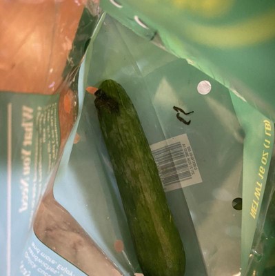 Mini Cucumbers - 16oz Bag - Good & Gather™ (packaging May Vary) : Target